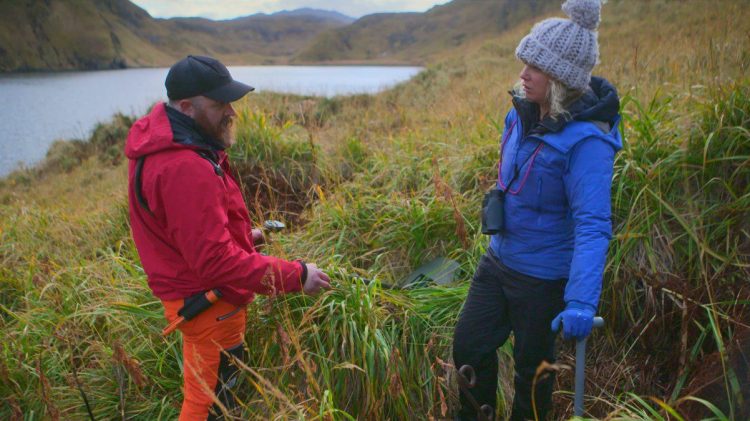 Pirates Gold of Adak Island Season 2: When will it Release? | Nilsen Report