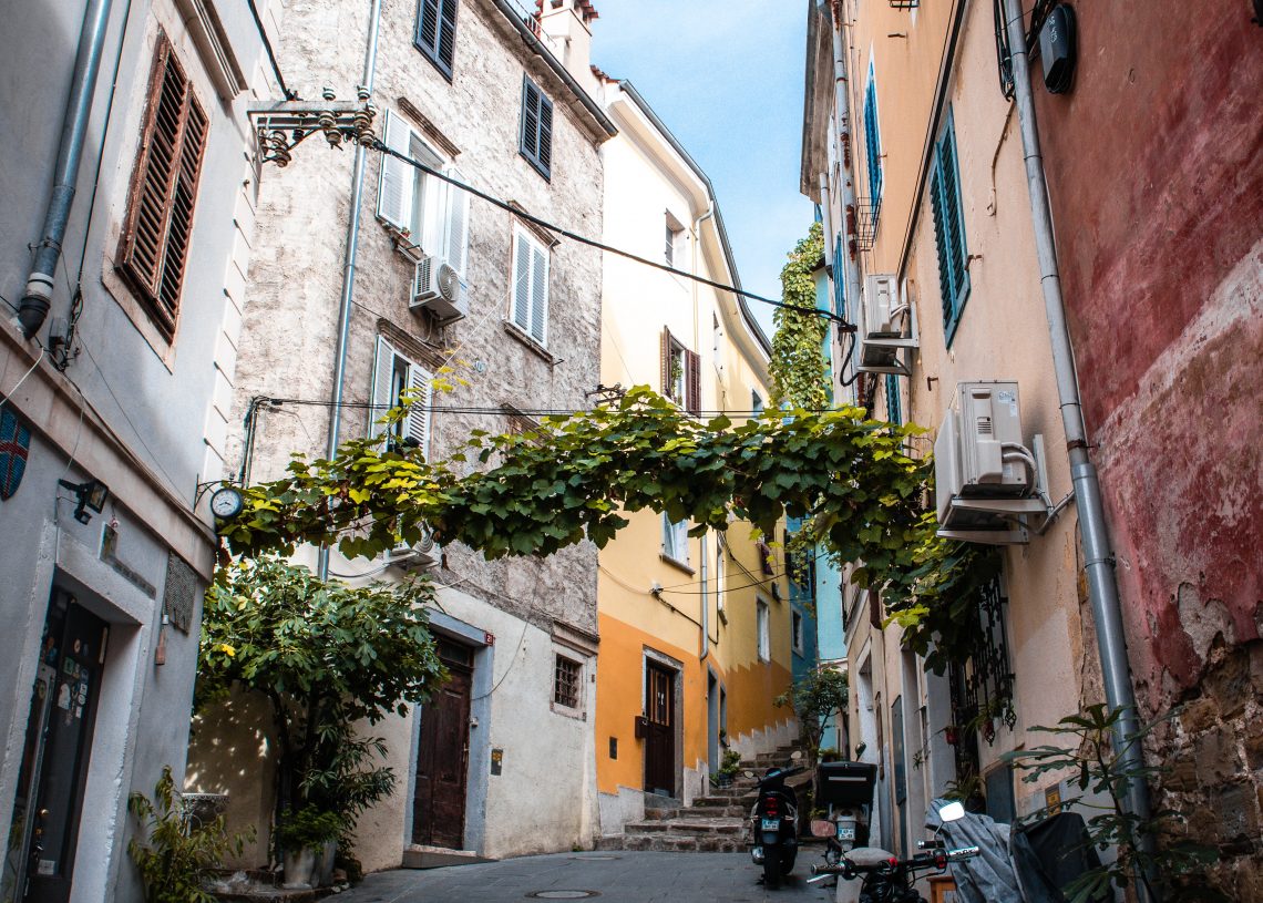 Who is Albert Omstead on Cobra Kai Season 4? All you need to know ...